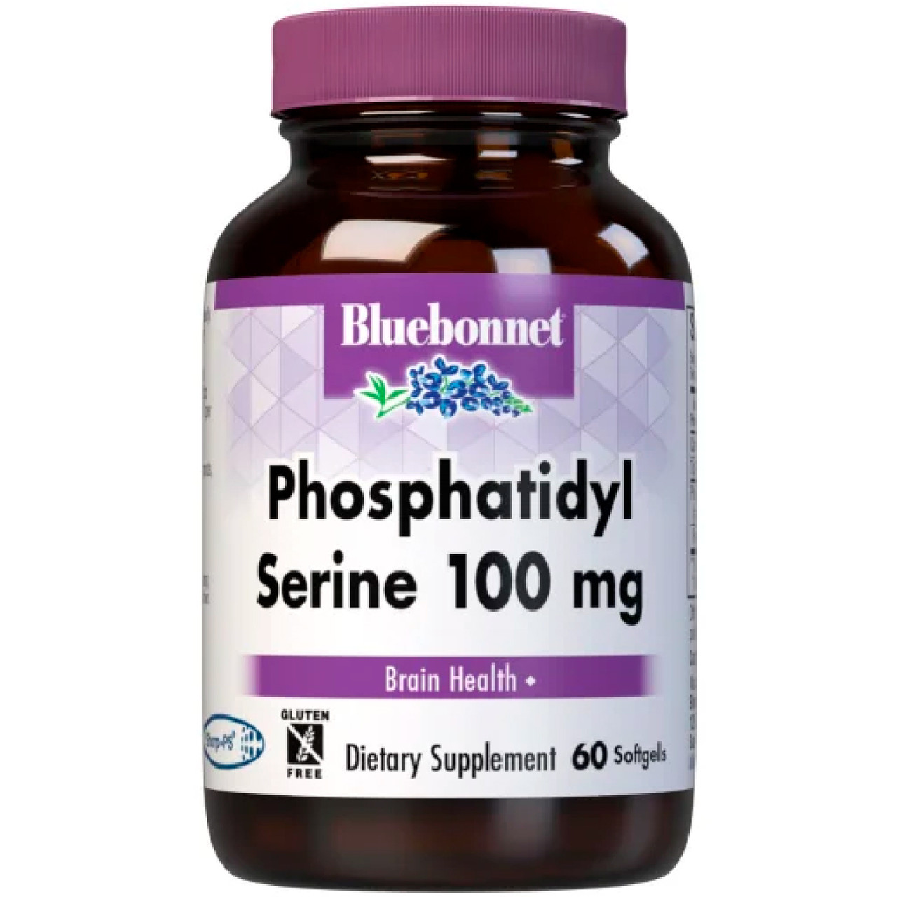 Brain Power: 10 Top Nutrients You Should Know | Walsh Natural Health