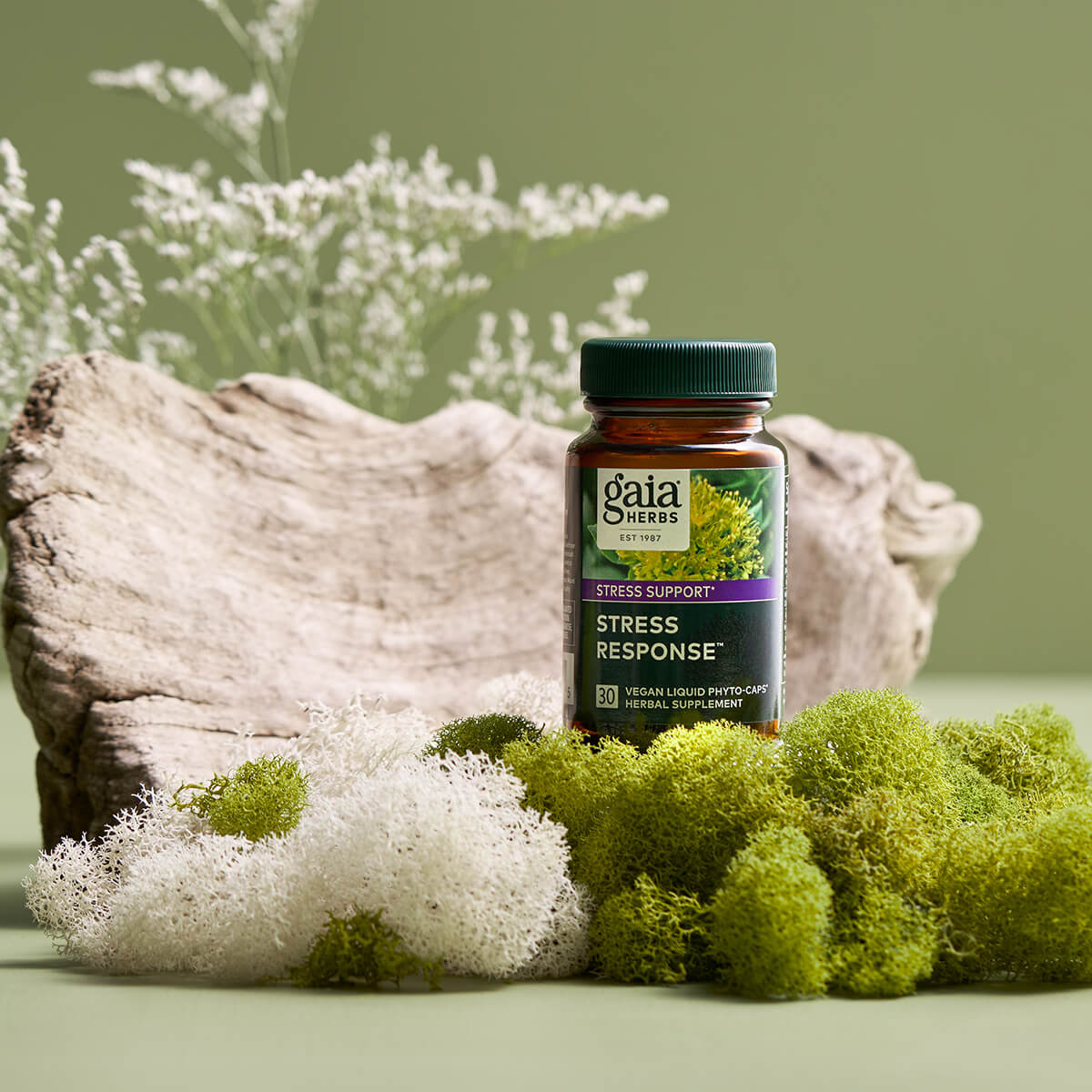 Natural Wellness Products | Walsh Natural Health